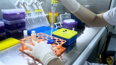 Pre Implantation Genetic Testing For Aneuploidy On A Semiconductor