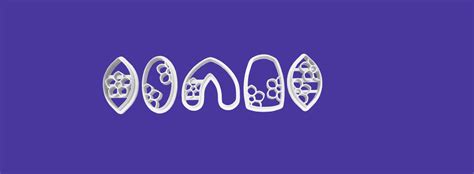 3d File Polymer Clay Cutter Floral Imprint Set 40mm Floral Set Of 5 Stl File 3d File 3d