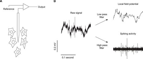 Porting A Neural Recording Kernel On Fpga And Memristor Based Circuits For Next Generation Brain