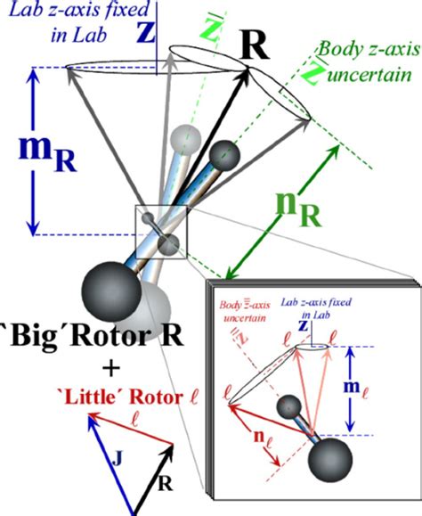 schematic of coupled rotor system the angular momentum j r and ᐉ