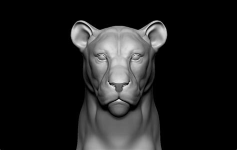 Sabrina Fitz Calitri 3d Animation And Computer Generated Imagery