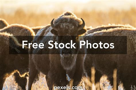 Really Sus Anime Girls No Blur Photos Download The Best Free Really Sus Anime Girls No Blur