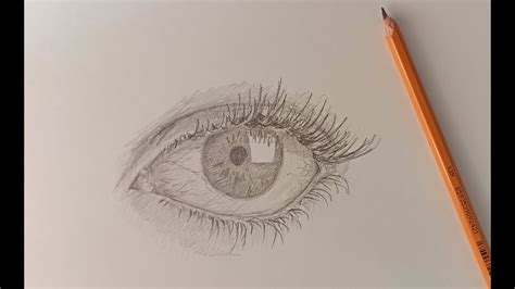 Как нарисовать глаз How To Draw An Eye Youtube