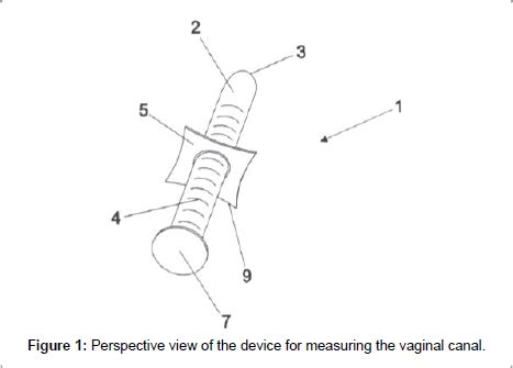 Measurement Of Vaginal Flexibility And Its Involvement In The Sex