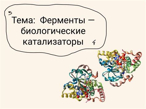 Ферменты — биологические катализаторы - презентация онлайн