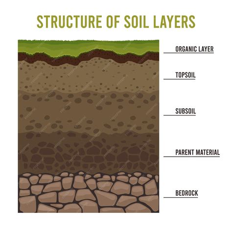 Couches De Sol Géologie De Dessin Animé Structure Du Sol Avec Des