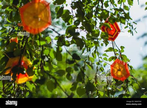 This Image Showcases Vibrant Handwoven Hexagonal Decorations Hanging From Tree Branches
