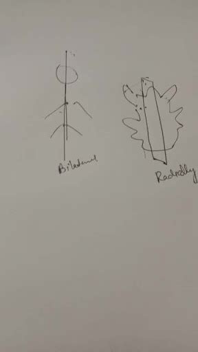 Phylum Porifera Characters Classification And Canal System In Sycon