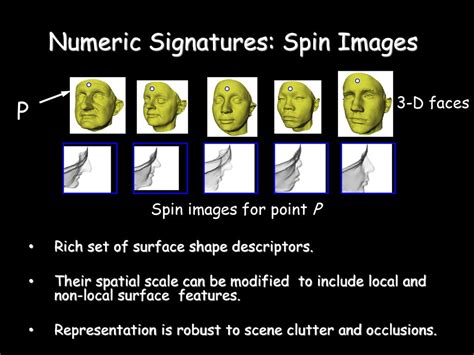 Recognizing Deformable Shapes Ppt Download