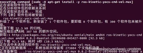 ROS问题及解决方案依赖包安装以及无法修正错误 阿里云开发者社区