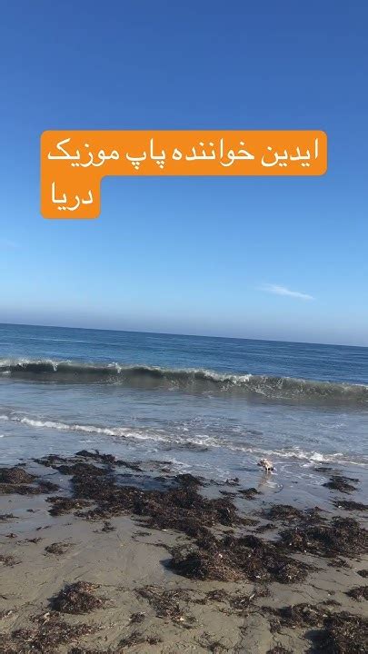 ایدینخوانندهidinmusic موسیقی Iranianmusic Shourangiz