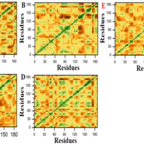 dynamics cross correlation matrix of all the mutated peptide complex