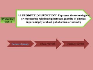 Theory Of Production PPT