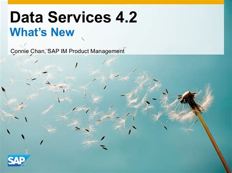 data services 4 2 what s new overview sap community