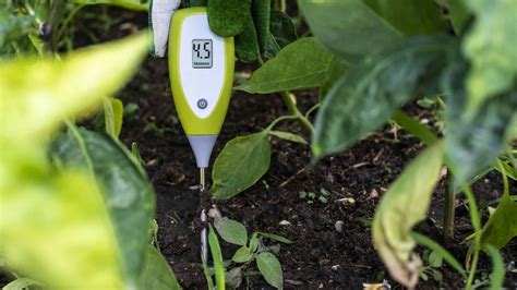 Soil And Nutrient Workshop TAP