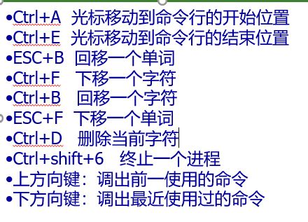 ENSP Command Exercises And Basic Commands Of Switches And Routers Programmer Sought