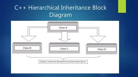Hierarchical Inheritance Pptx