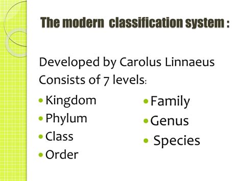 Modern Classification System Kingdoms At Carolyn Mendenhall Blog