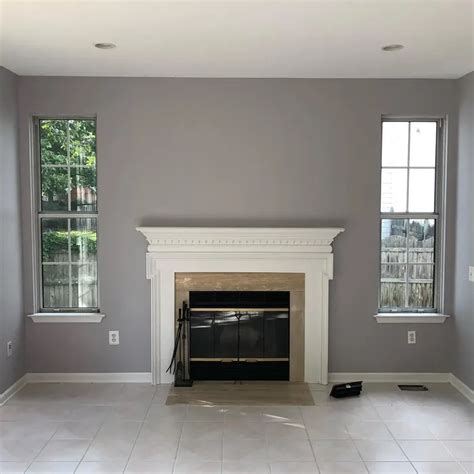 Sherwin Williams Unique Gray SW Paint Color