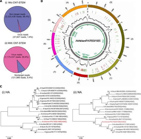 Cnt Stem Prepares Mimic Field Samples For Ngs Virus Analysis A Raw