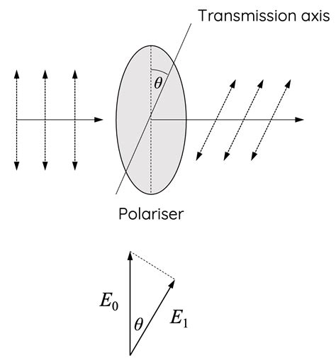 Polarisation Of Light And Malus Law Hsc Physics Science Ready