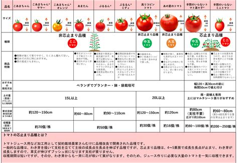 園芸ネット本店｜「カゴメの家庭園芸シリーズ Kagome 」の栽培ガイド【公式】