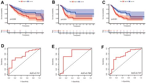 long non coding rna signature for predicting gastric cancer survival