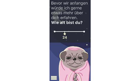 Mock Up Of The App Dreamy Pug Assessment Of Personal Data Here Age Download Scientific