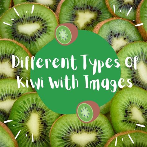 25 Different Types Of Kiwi With Images Asian Recipe