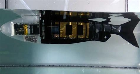 Experts Craft Waterproof Low Voltage Artificial Muscles For Bot Motion Lifeboat News The Blog