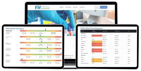 Functional Lab Report