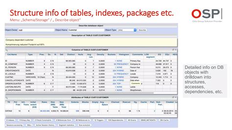 Oracle Db Performance Analysis With Panorama Pptx