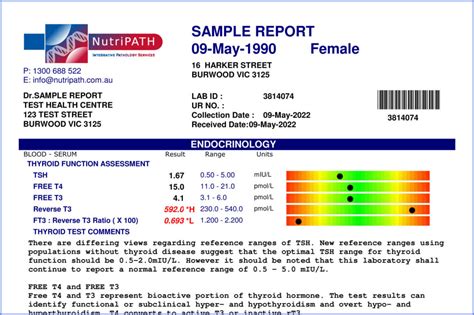 How To Check Your Thyroid Levels How To Check Your Thyroid Levels