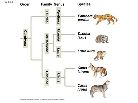 Enduring Understanding 1b Ppt Download