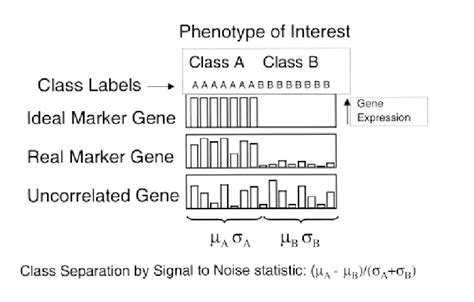 Illustration Of The Signal To Noise Metric Download Scientific Diagram