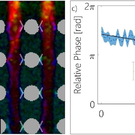 Two Dimensional Distribution Of The Spin Wave Phase And Amplitude At Download Scientific