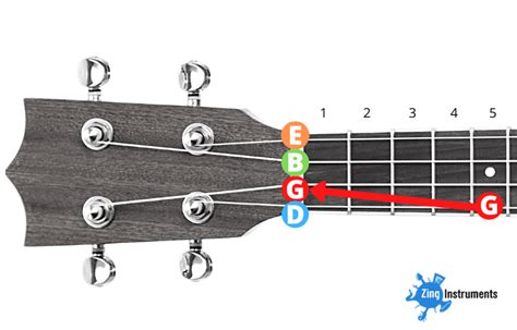 Baritone Ukulele Tuning The Basics Explained