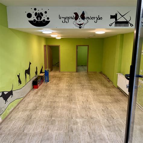 შენი სახლი ჯიქიაზე • შენი სახლი ჯიქიაზე • Jikia House