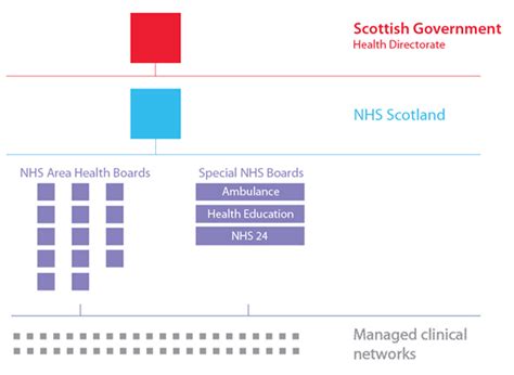 Explaining The Nhs Simply Understand