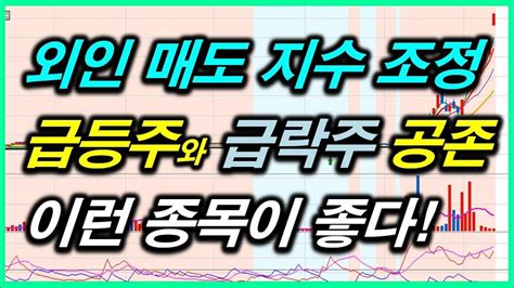 지수는 조정 개별주 급등주 장세 주도주 관심종목 Youtube