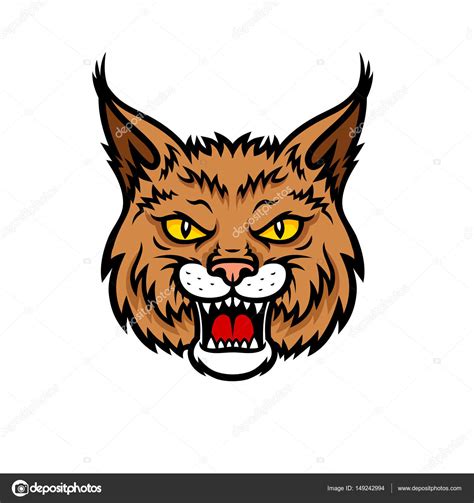 Clipart Tête De Lynx Roux Joli Clipart De Lynx Roux Sur Tout Le