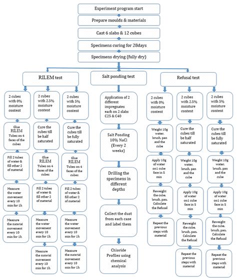 1 The Experiment Program Download Scientific Diagram