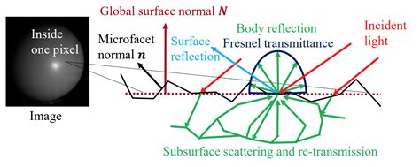Fmbrdf Overview Image