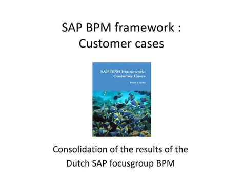History Sap Bpm Framework Pdf Business Administration Business