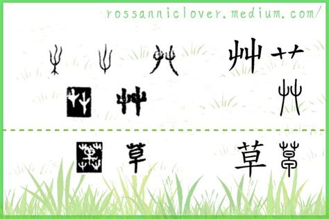 Grass Full Of Grass Unveiling The Journey Of Chinese Characters