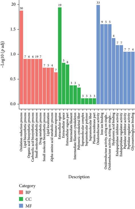 Enriched Go Classification Of Differentially Expressed Genes Deg