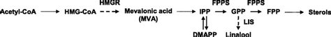 Comparison Of Levels Of Linalool Production By Different Host Strains