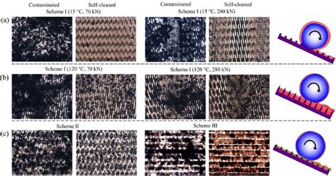 Optical Micrographs Of Contaminated Surfaces Before And After The Download Scientific Diagram