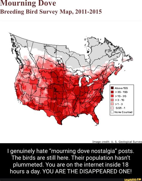 Mourning Dove Breeding Bird Survey Map 2011 2015 Above 100 30 100 10