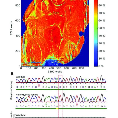 Mosaic Plot Representing A Contingency Table Of The Types Of Genetic Download Scientific